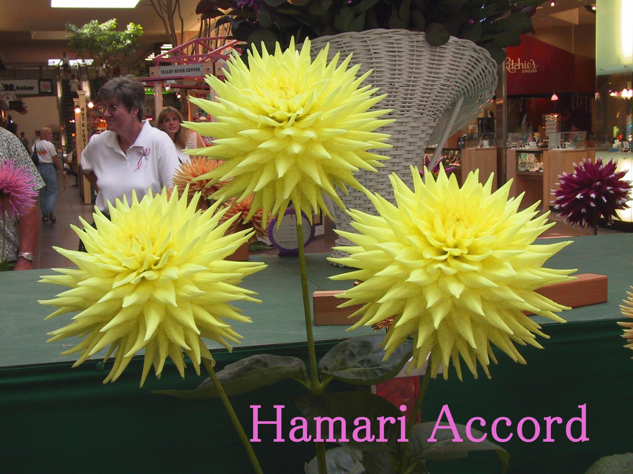 2010Pricetest2PayPal